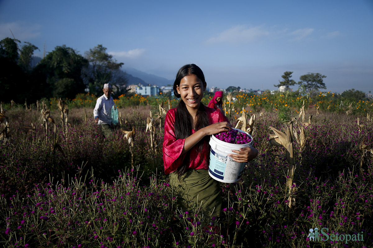 मखमली मौसम (तस्बिरहरू) :: नवीनबाबु गुरूङ :: Setopati