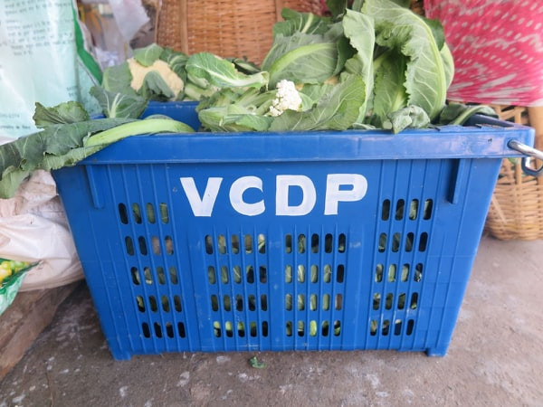 तरकारी तथा फलफूलको मूल्य शृङ्खला विकासमा कृषि मन्त्रालय, युएनडिपी र ...