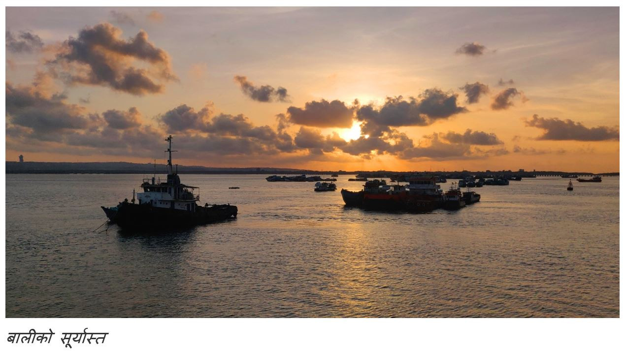 बाली बैजनी! :: बिक्रम भक्त जोशी :: Setopati