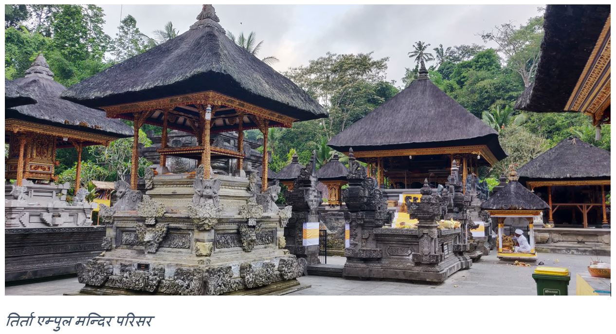 बाली बैजनी! :: बिक्रम भक्त जोशी :: Setopati